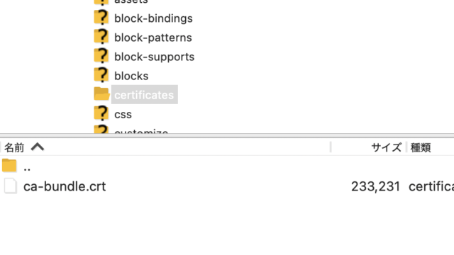 WordPress cURL error 60: SSL certificate problem エラー